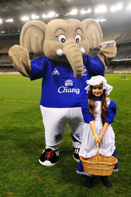 Picture of Changy the Elephant