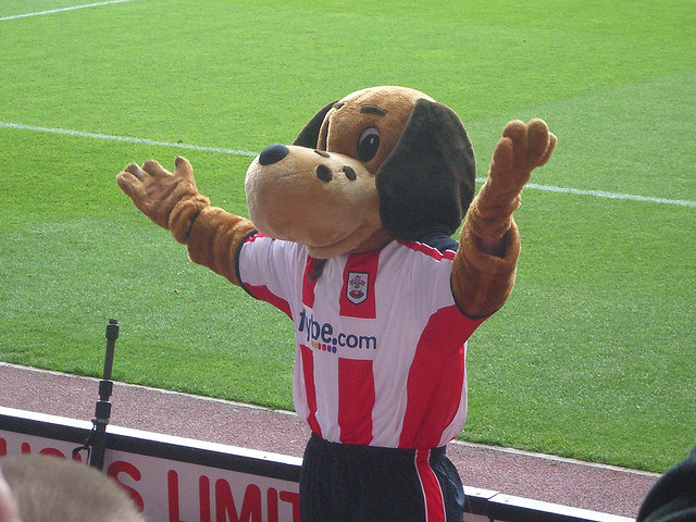 Picture of Sammy the Saint