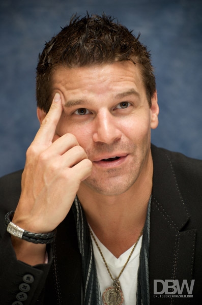 Picture of David Boreanaz