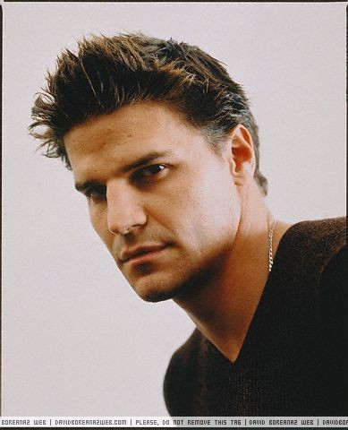 Picture of David Boreanaz