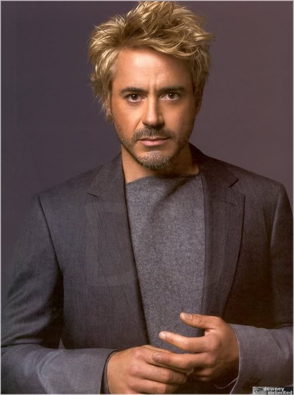Robert Downey Jr. picture