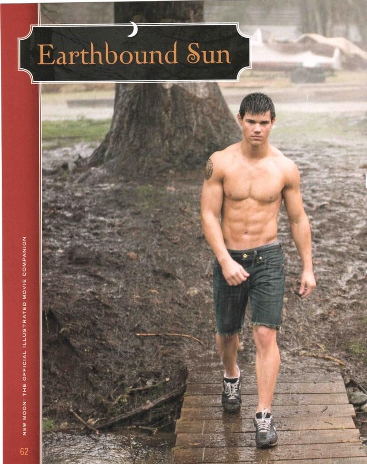 Picture of The Twilight Saga: New Moon