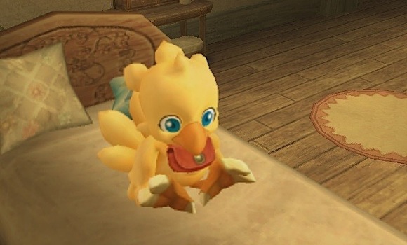 Picture of Chocobo