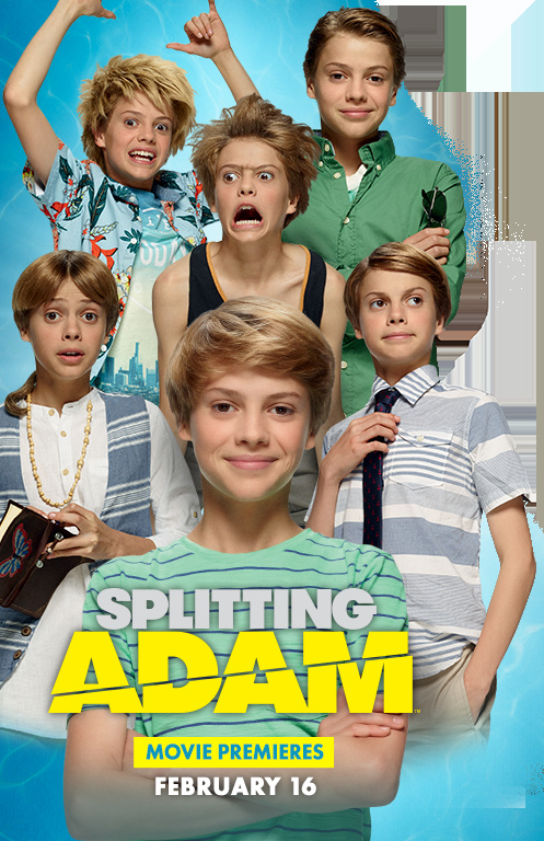 Picture of Splitting Adam