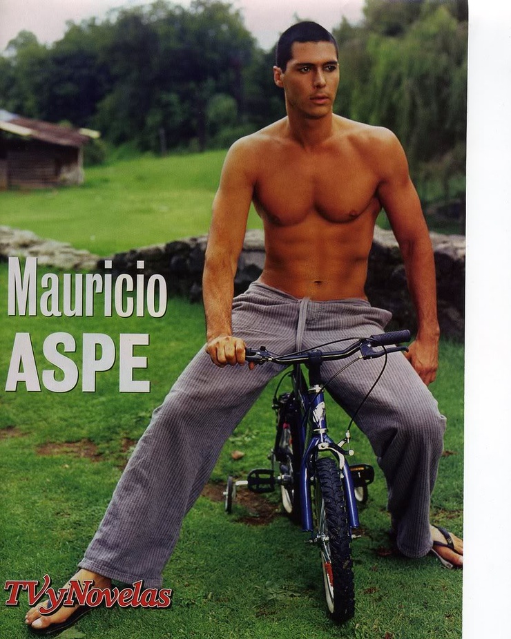 Mauricio Aspe image
