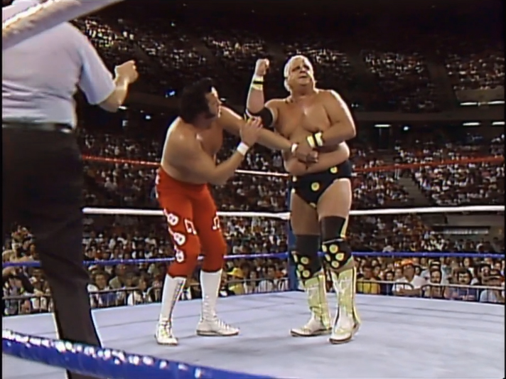 Picture of WWF Summerslam '89