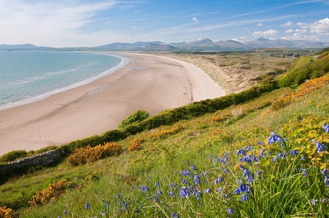 Harlech Beach