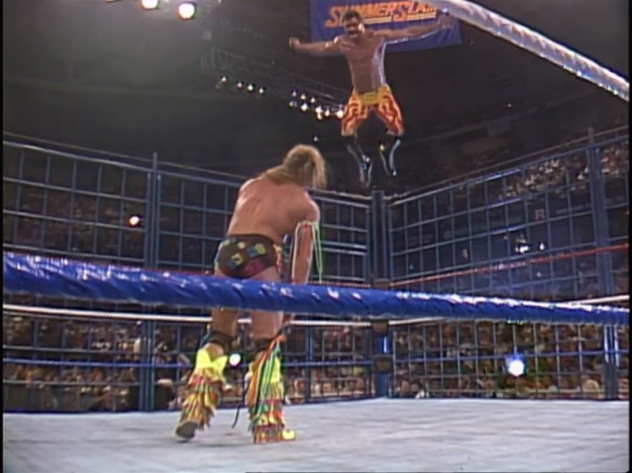 Picture of WWF: Summerslam 1990
