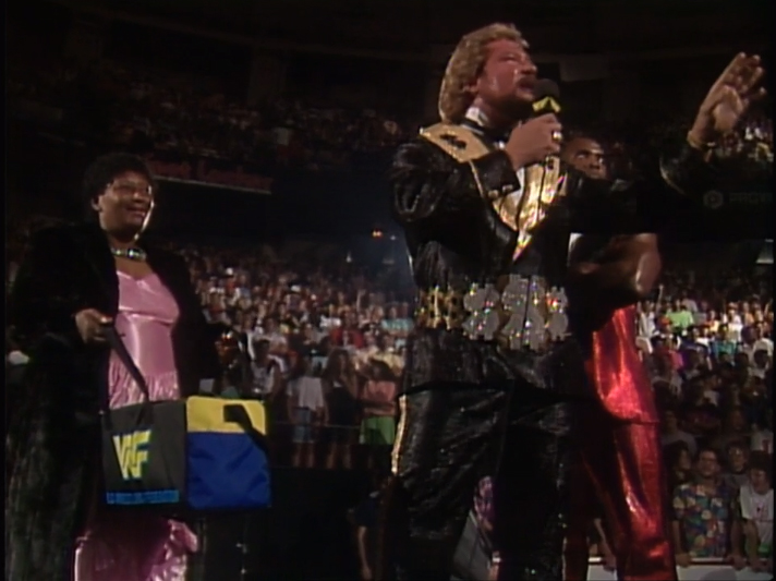 Picture of WWF: Summerslam 1990