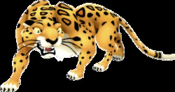Picture of Sabor