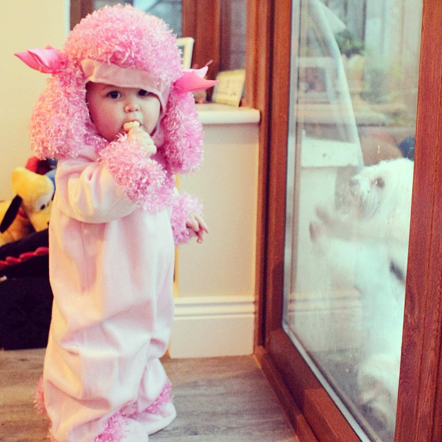 Picture of Emilia Saccone-Joly