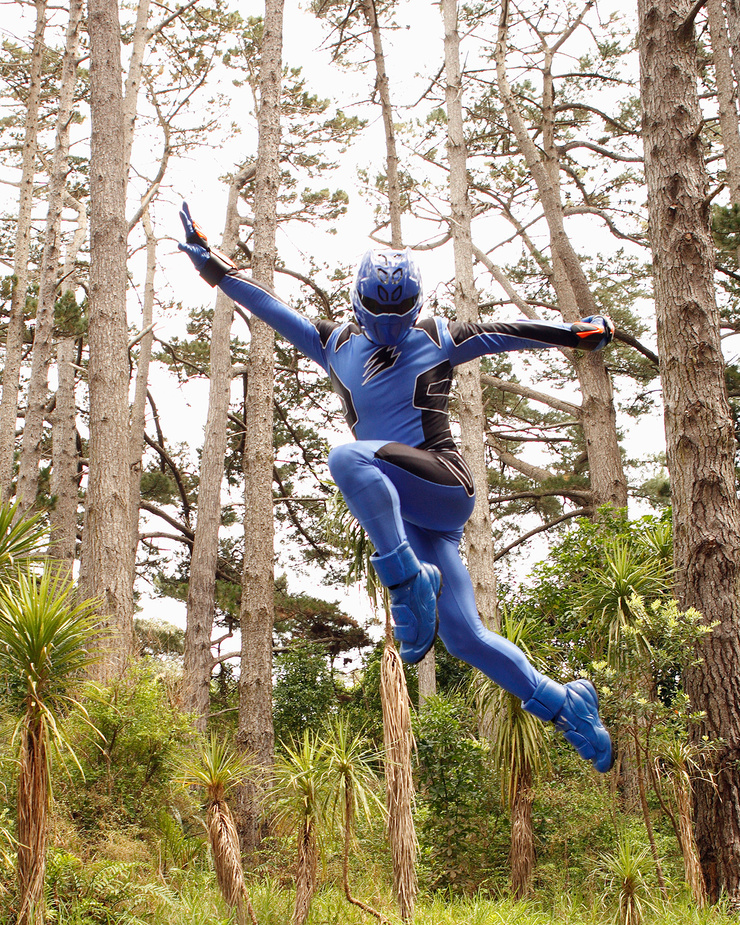 Picture of Blue Ranger