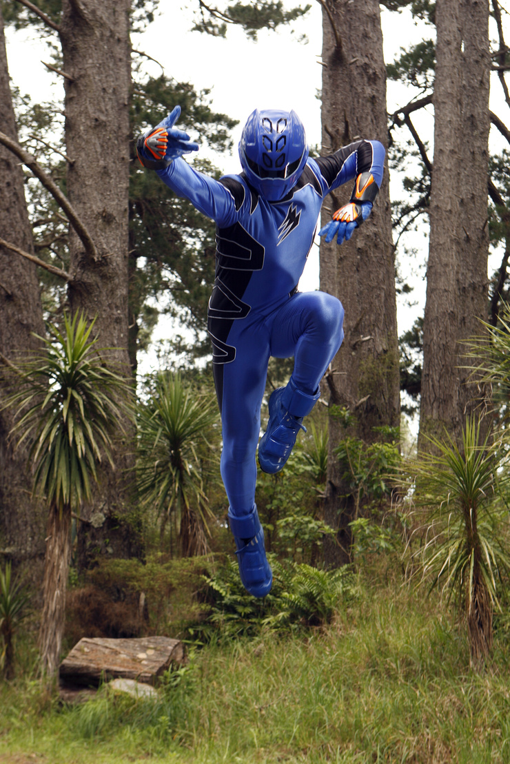 Image of Blue Ranger