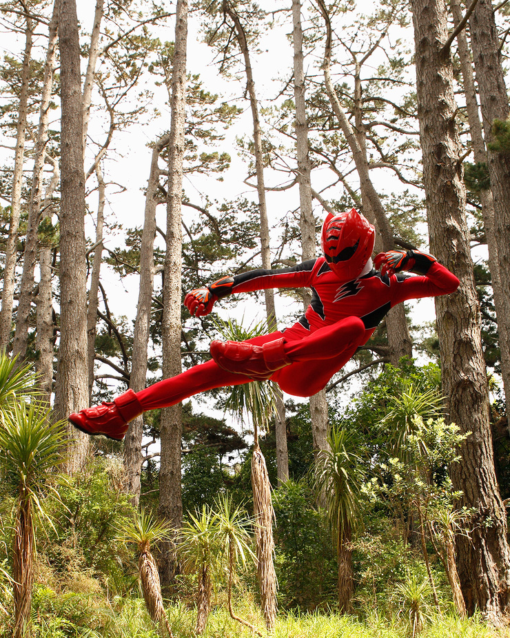 Picture of Red Ranger