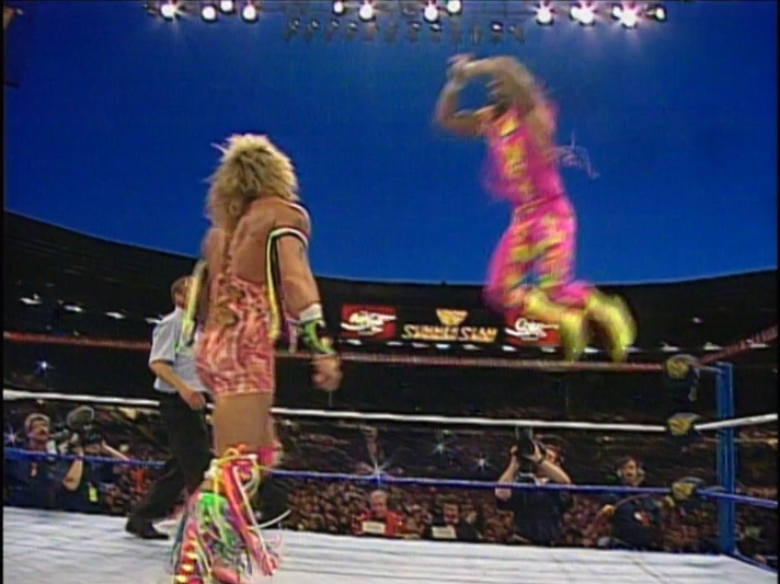 WWF: Summerslam 1992 picture