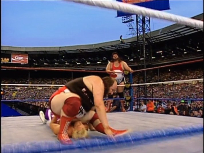 Picture of WWF: Summerslam 1992