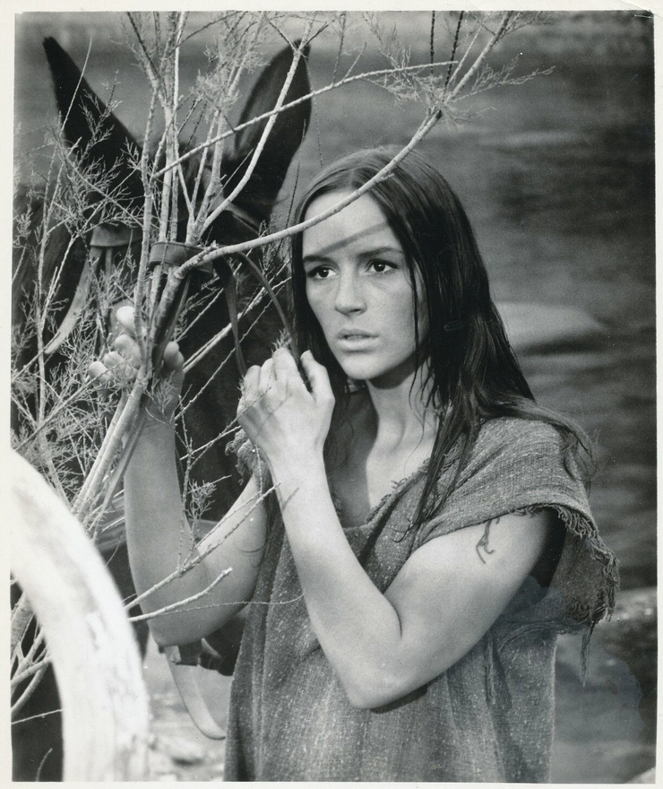 The Strange Vengeance of Rosalie (1972) picture