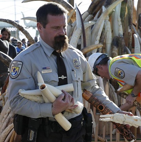 Picture of Tank Abbott
