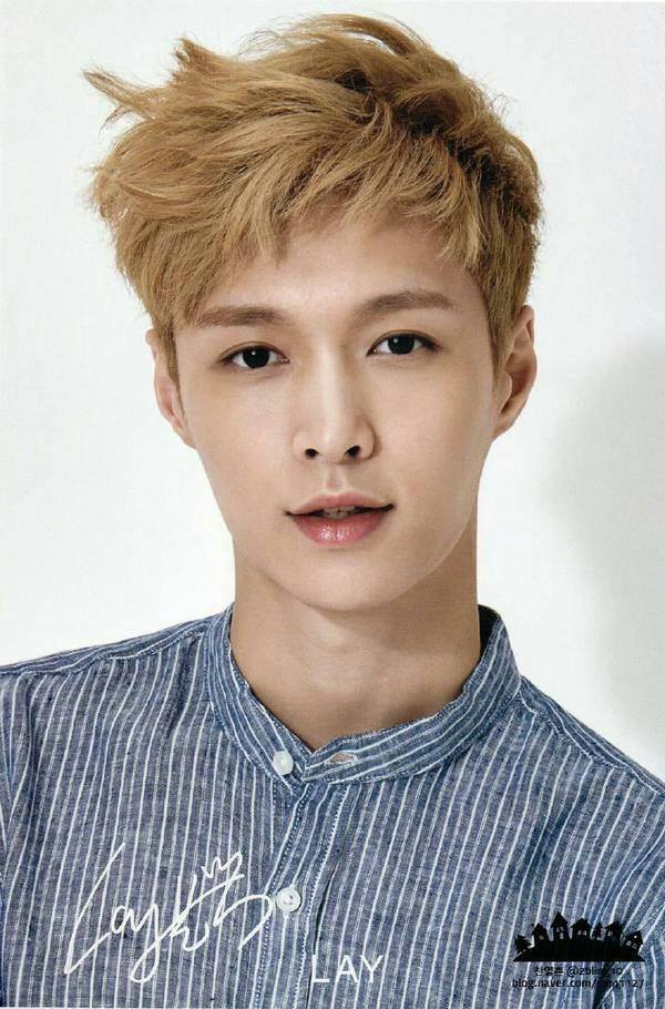 Picture of Lay