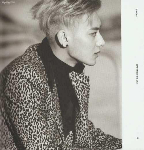 Picture of Tao (Exo)