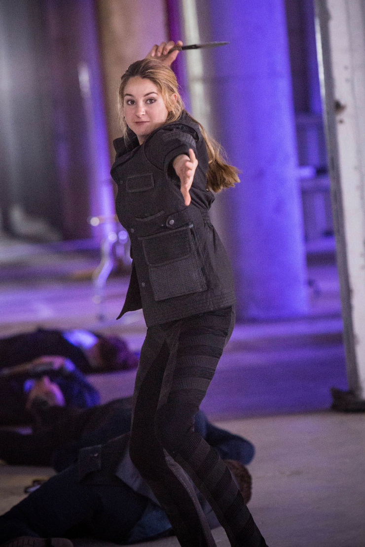 Picture of Divergent