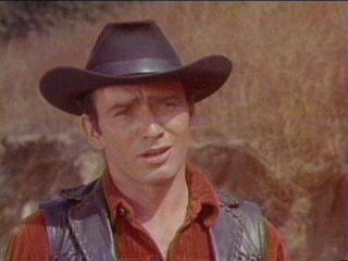 Image of James Drury