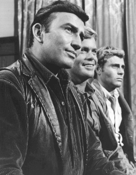 Picture of James Drury