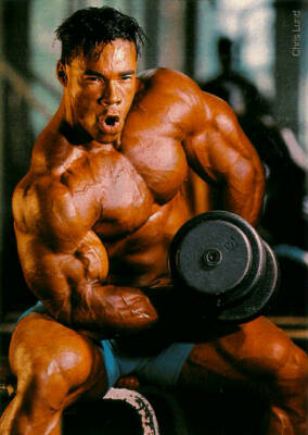 Picture of Kevin Levrone