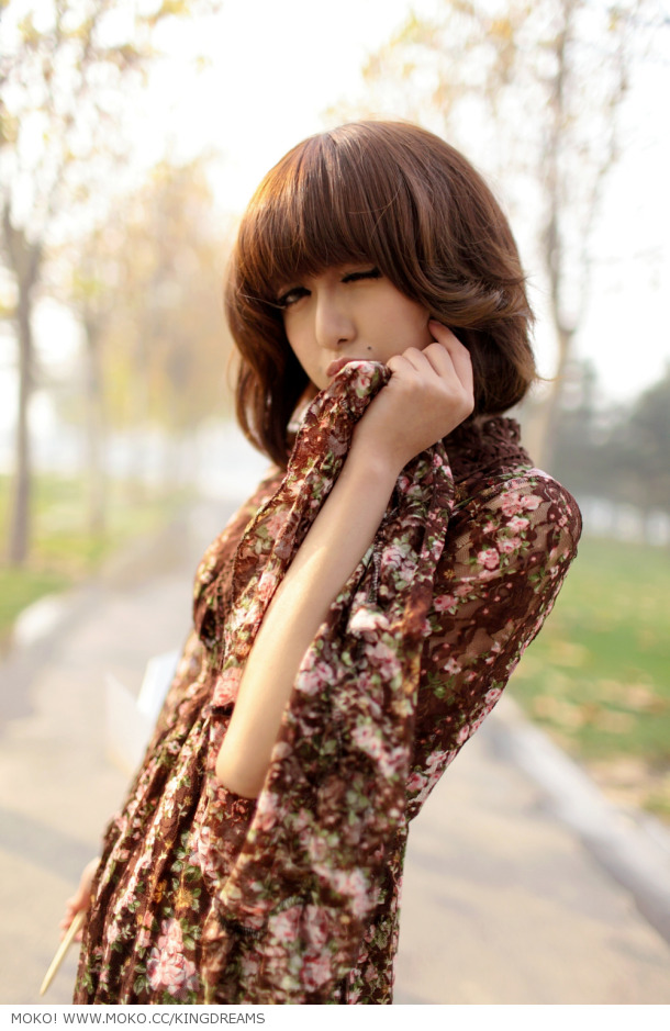 Picture of Wang Meng