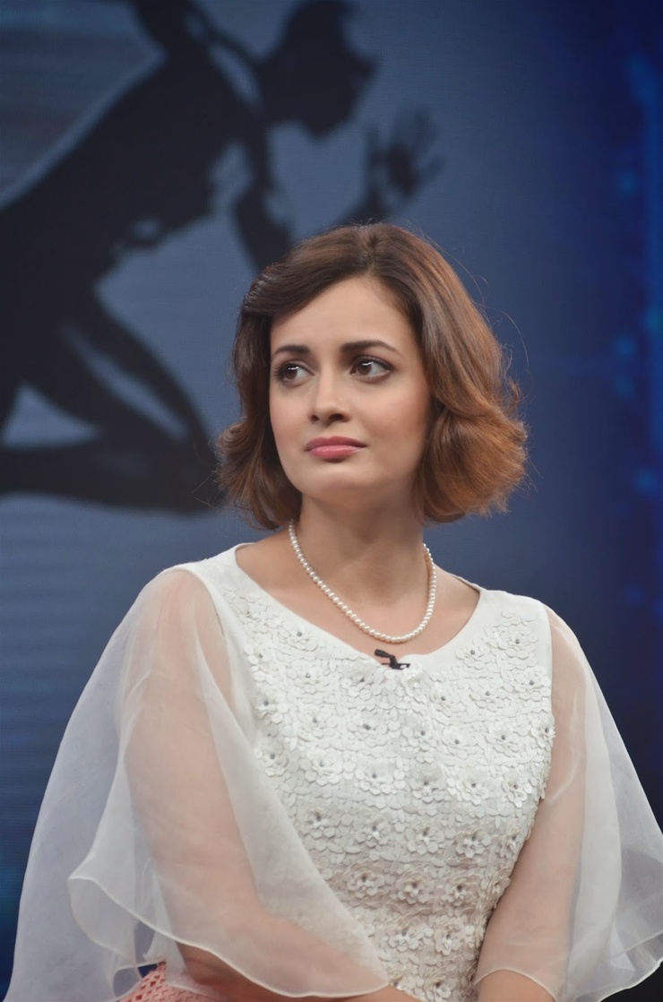 Picture of Diya Mirza