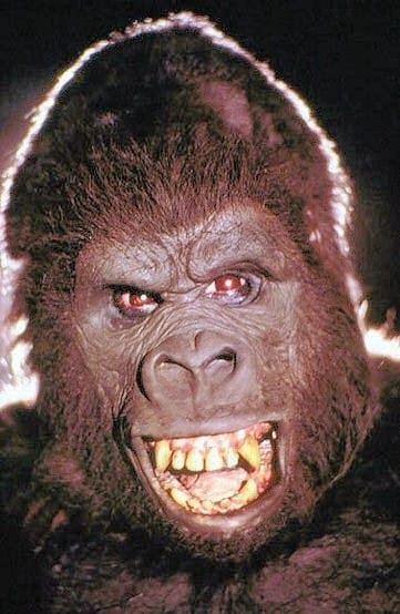 Picture of King Kong