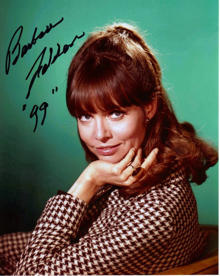 Picture of Barbara Feldon