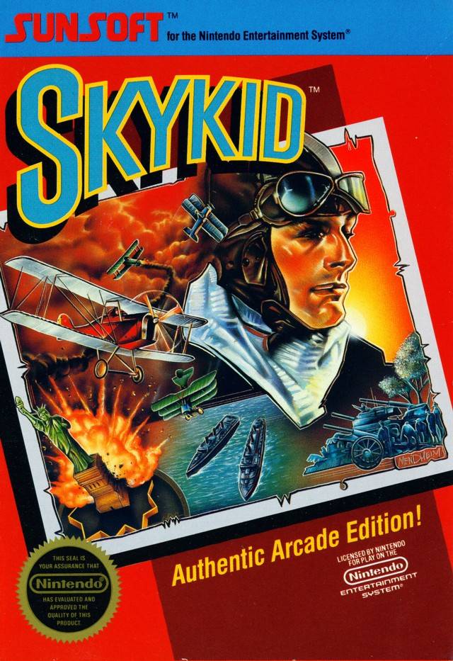 Picture of Sky Kid