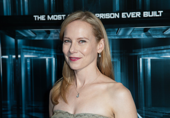 Amy Ryan image