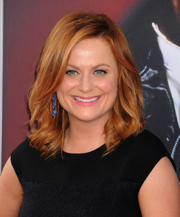 Picture of Amy Poehler
