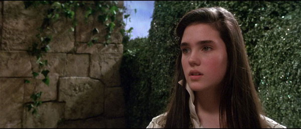 Picture of Labyrinth (1986)