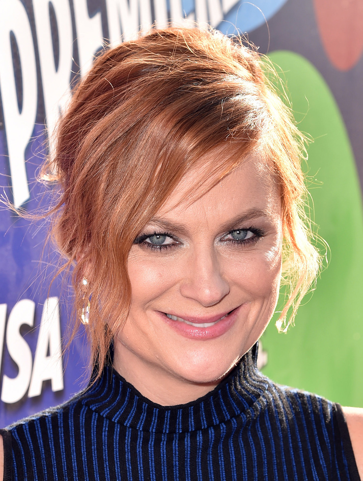 Picture of Amy Poehler