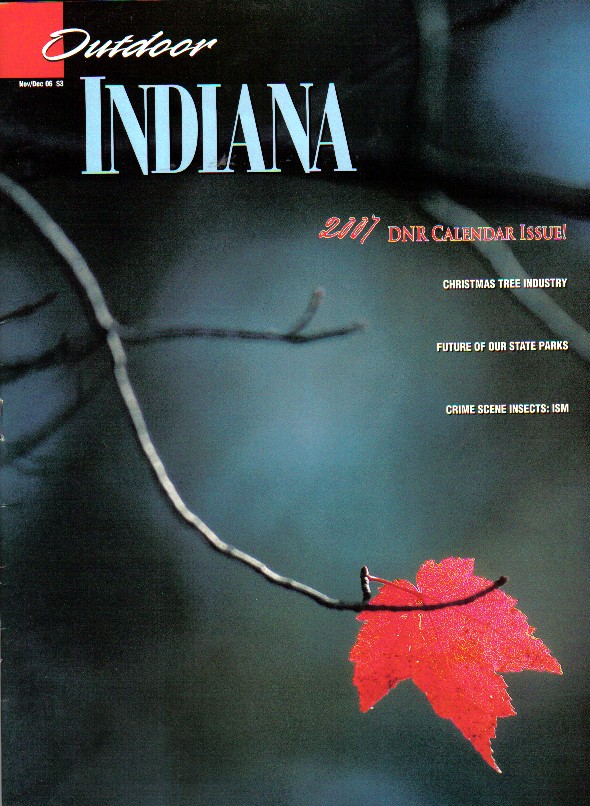 Picture of Outdoor Indiana