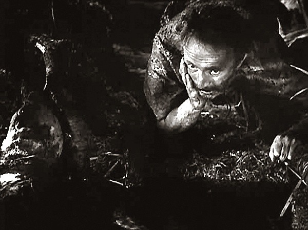 Swamp Water (1941) image
