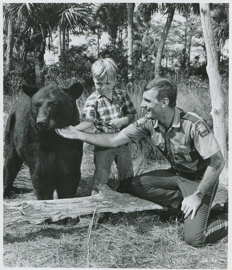 Gentle Ben image