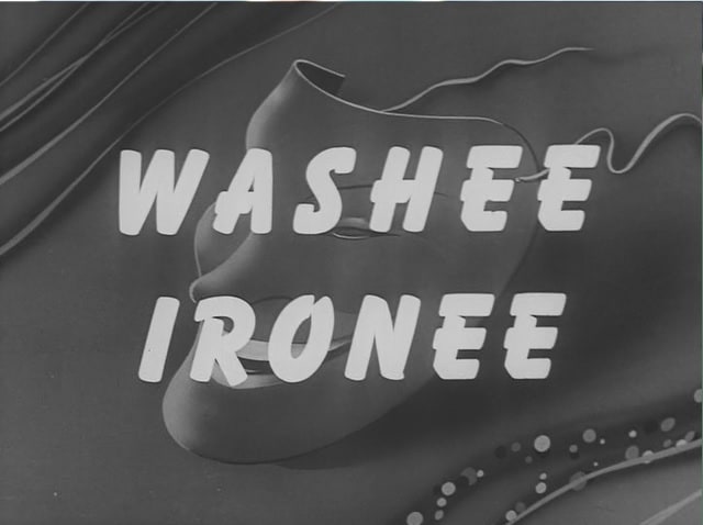 Picture of Washee Ironee