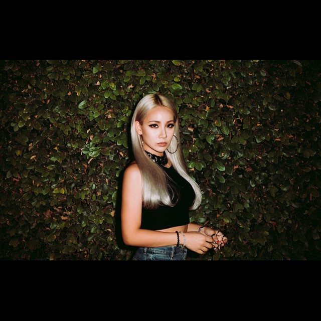 Picture of CL
