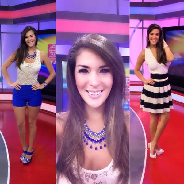 SILVIA CORNEJO image