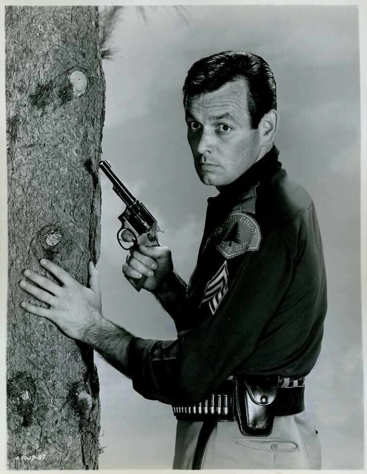 Image of David Janssen