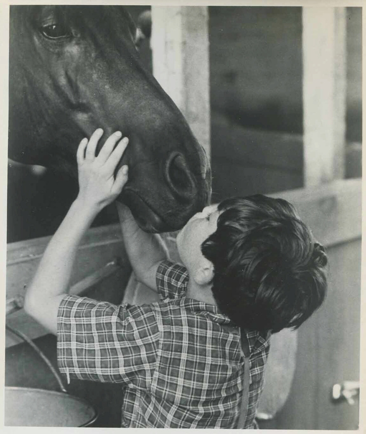 Picture of Kelly Reno