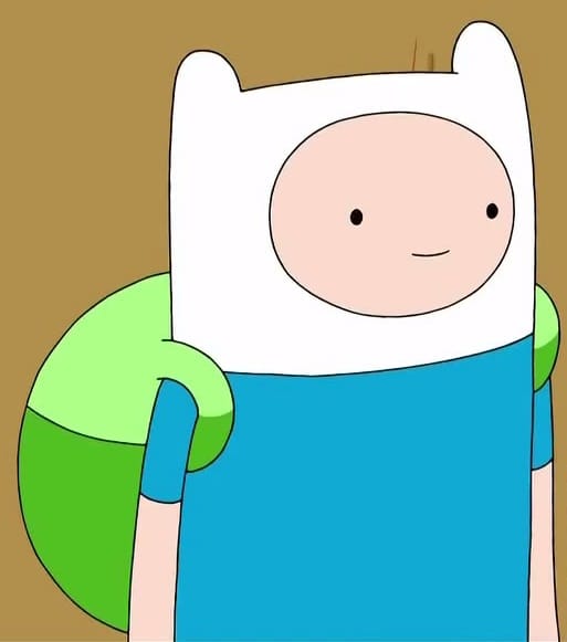 Picture of Finn The Human
