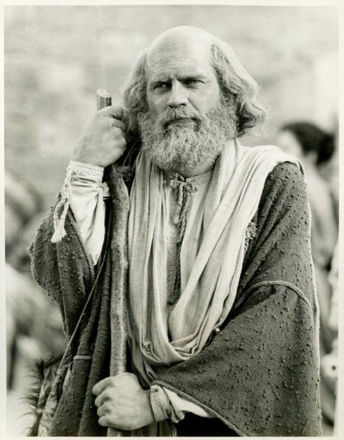 Robert Foxworth picture