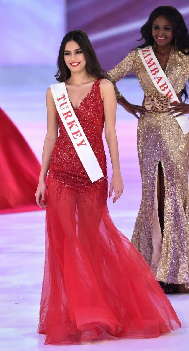 Picture of Amine Gulse