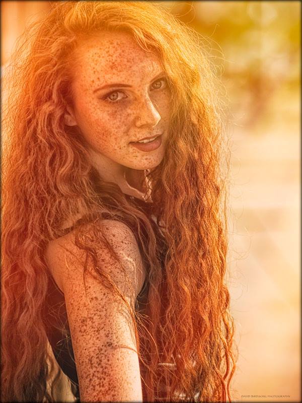 Picture of Stephanie Valent