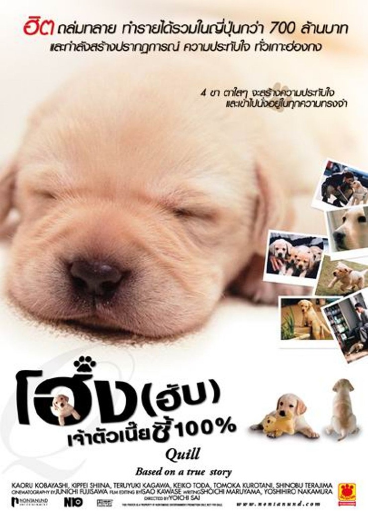 Quill: The Life of a Guide Dog picture